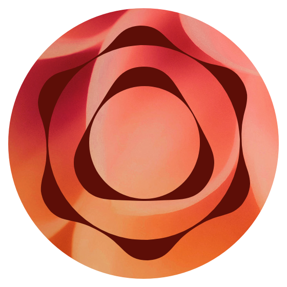 Buy HEETS APRICITY Bundle (10 Packs) | IQOS Jordan